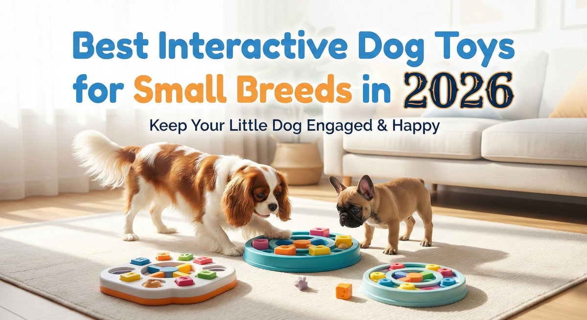 Best Interactive Dog Toys for Small Breeds in 2026: Keep Boredom Away ...
